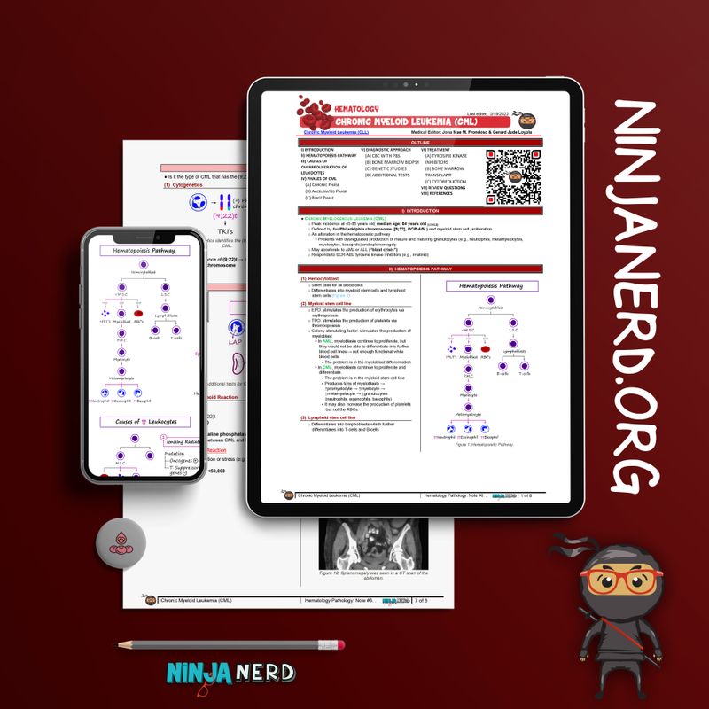 Chronic Myeloid Leukemia (CML) - Notes - NinjaNerd Medicine